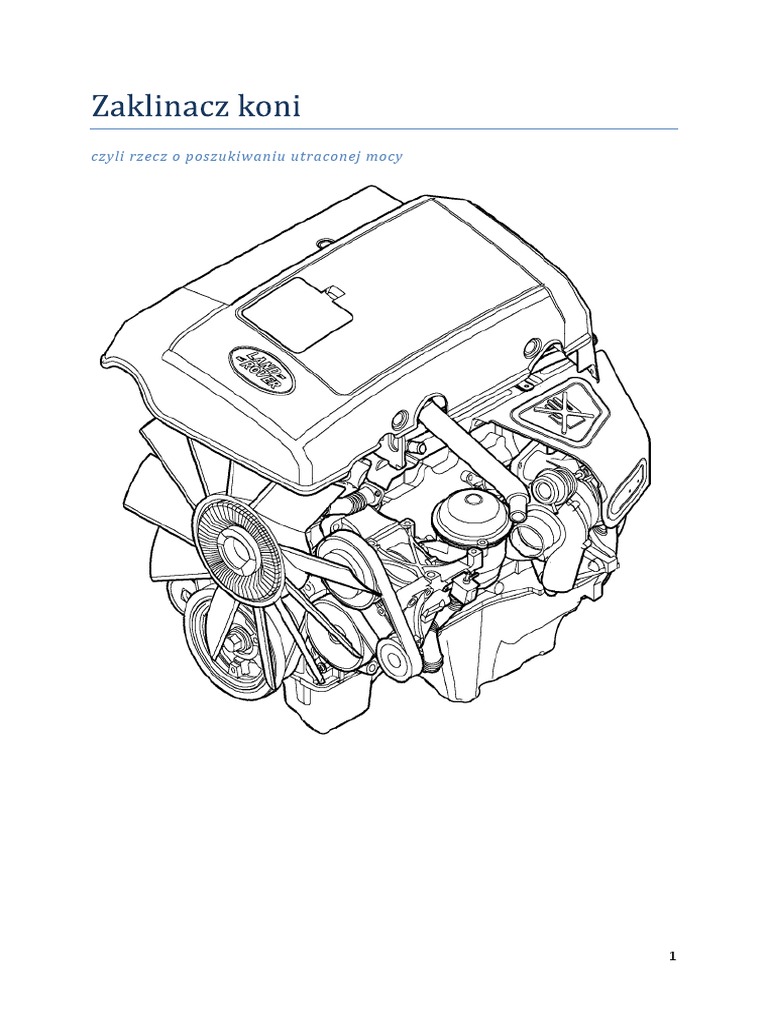 Diagnostyka LR Td5 | PDF