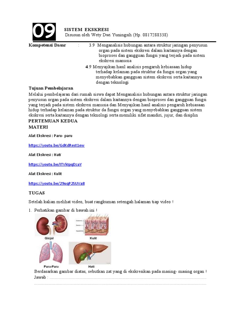 LKPD Sistem Ekskresi 2 | PDF
