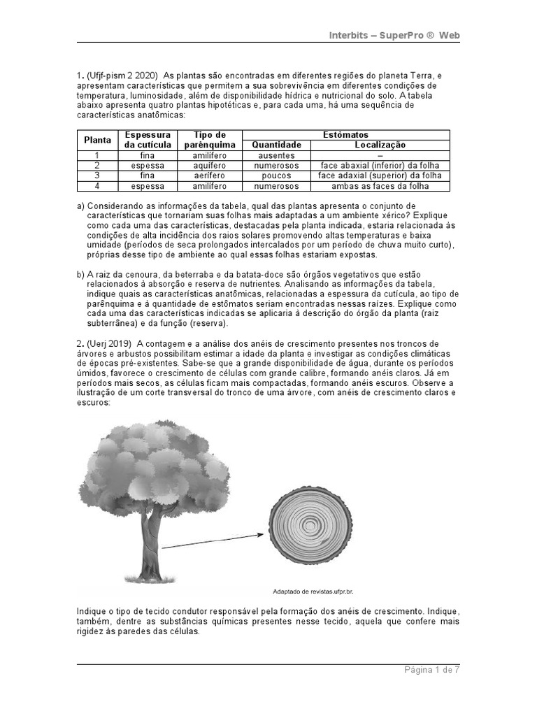 Caule - e - Raiz Questoes | PDF | Raiz | Folha