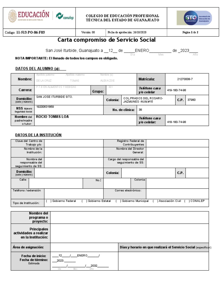 Carta Compromiso SS de La Cruz | PDF