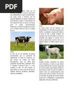 Animales Dosmesticos en Xinca | PDF | Cocina, comidas y vino