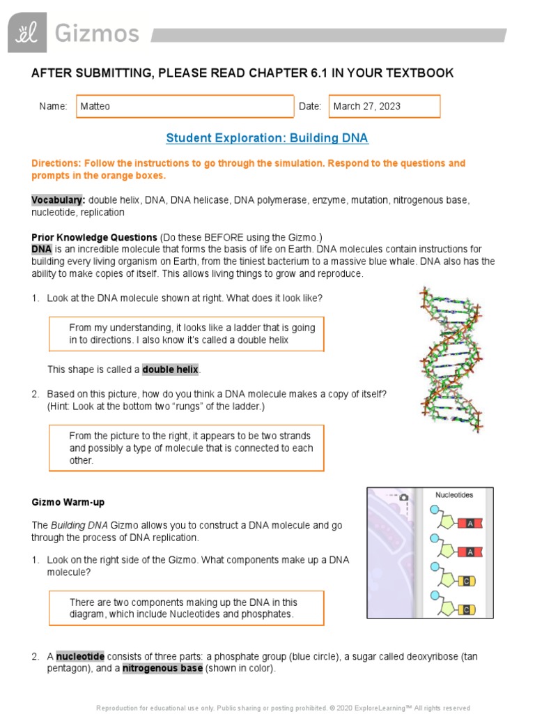 DNA Structure | PDF | Dna | Dna Replication