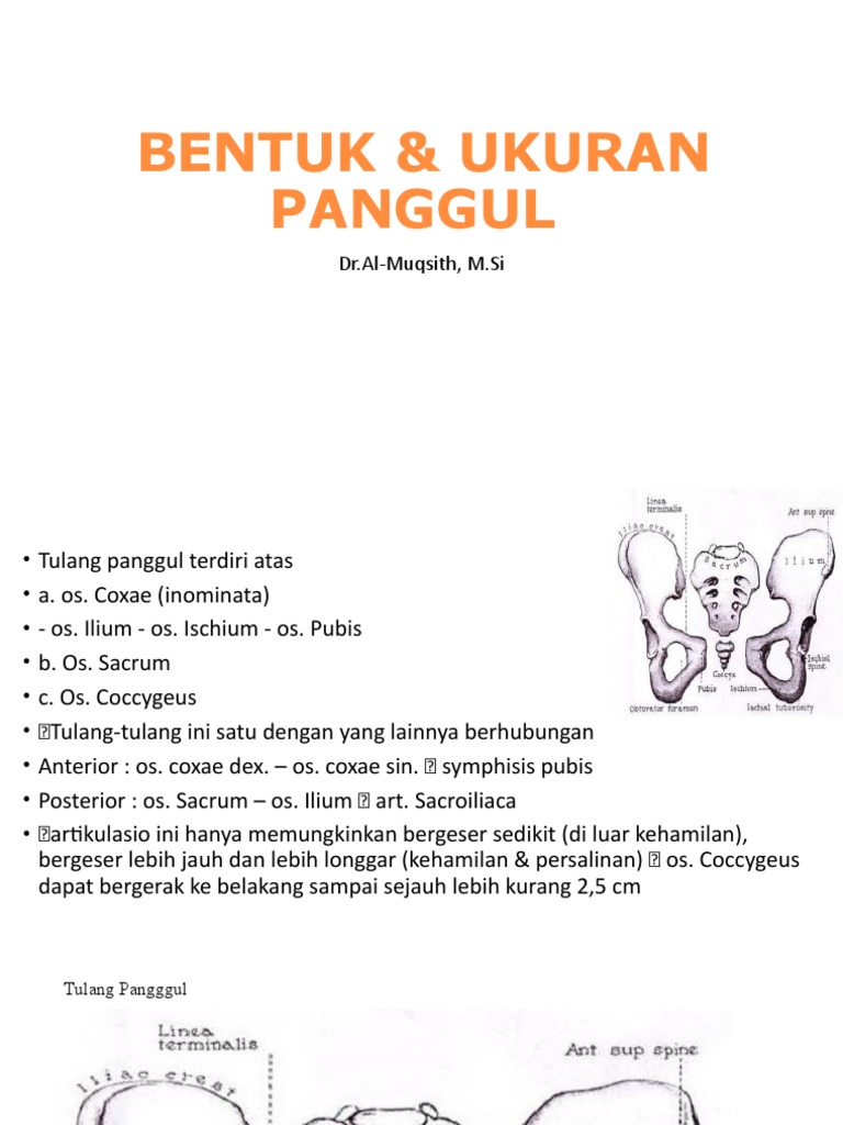Bentuk Dan Ukuran Panggul | PDF