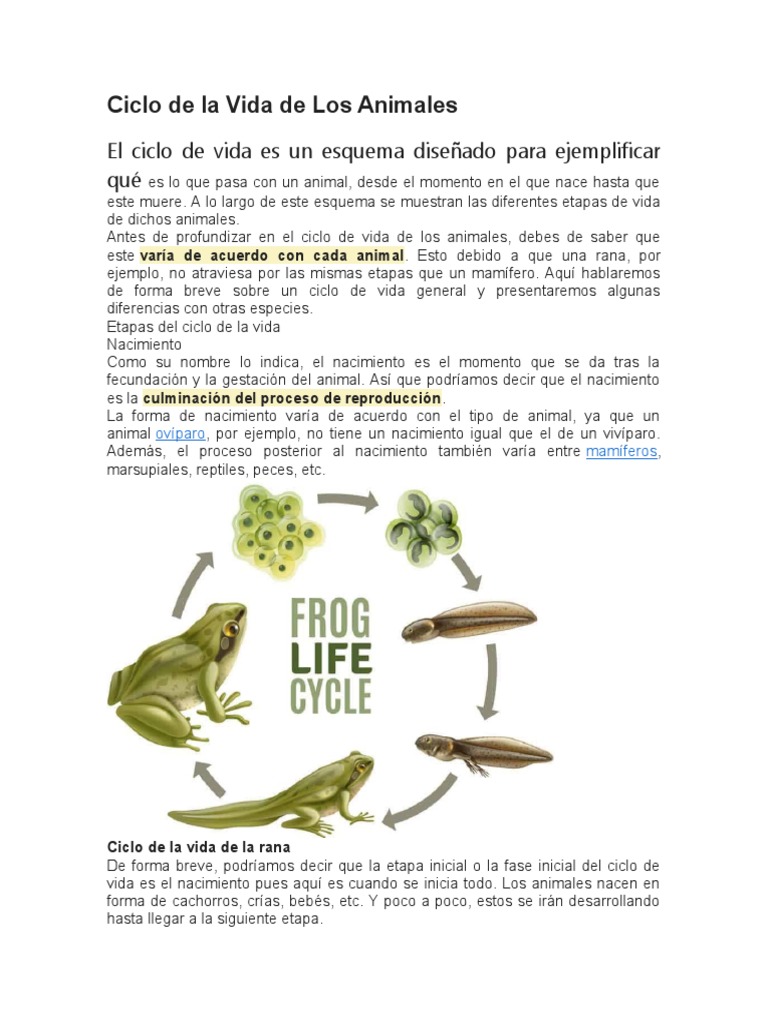 Ciclo de la Vida de Los Animales | PDF | Reproducción | Interacciones ...
