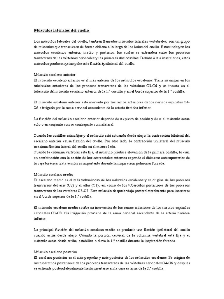 Músculos Laterales Del Cuello | PDF | Vértebra | Tórax (anatomía humana)