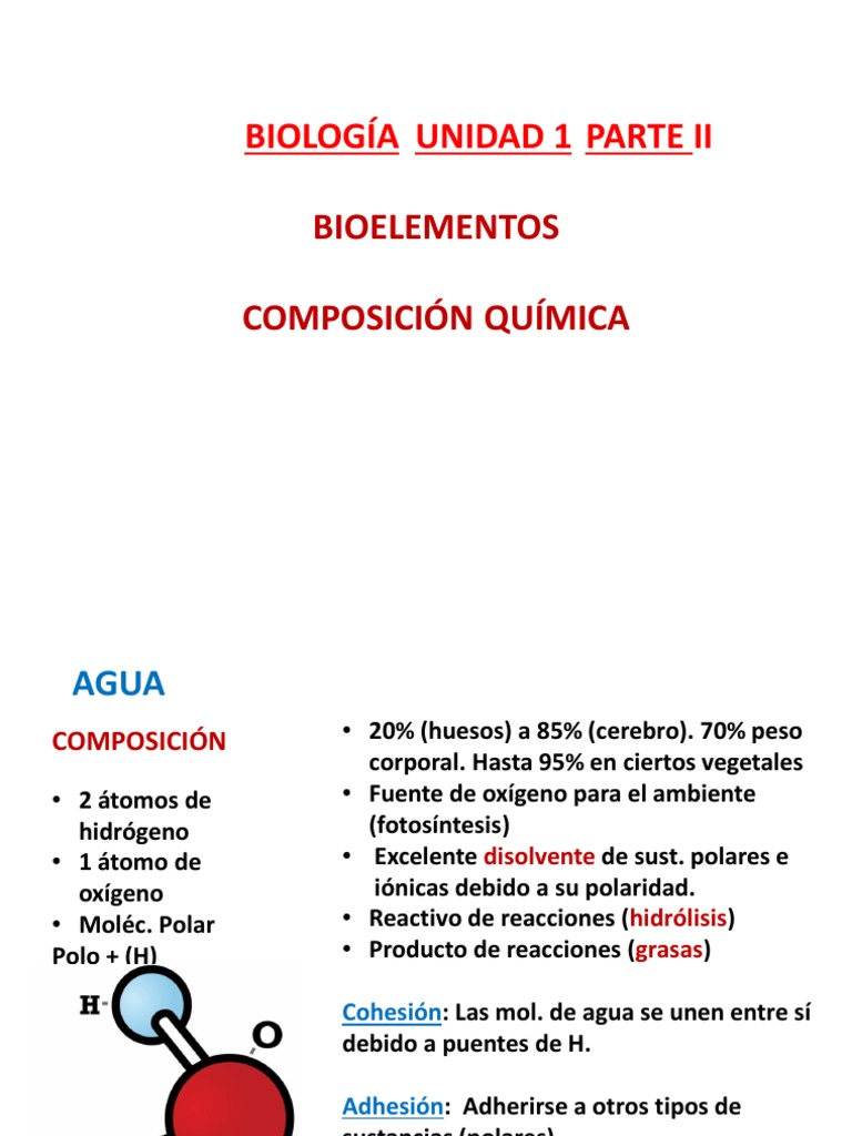 CEA BIOLOGÍA Unid. 1 Seres Vivos | PDF | Lípido | Propiedades del agua