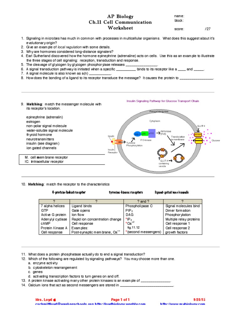Cellcommworksheet | PDF | Cell Signaling | Signal Transduction