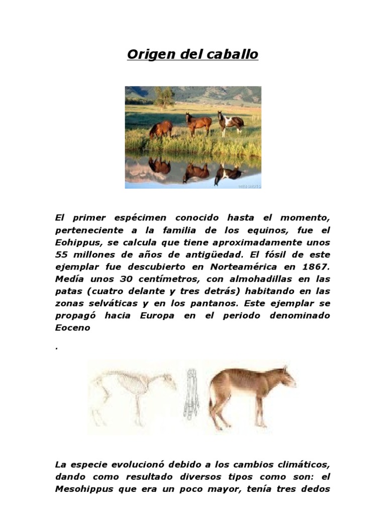 Origen Del Caballo 1