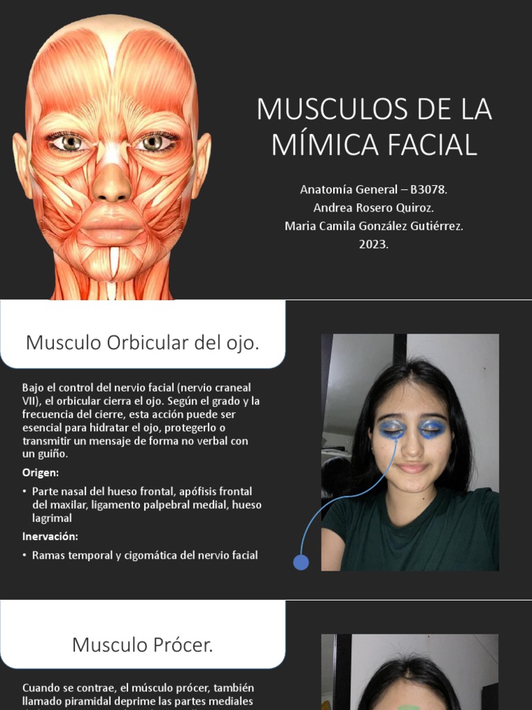 Mímica facial | PDF | Nariz humana | Anatomía humana
