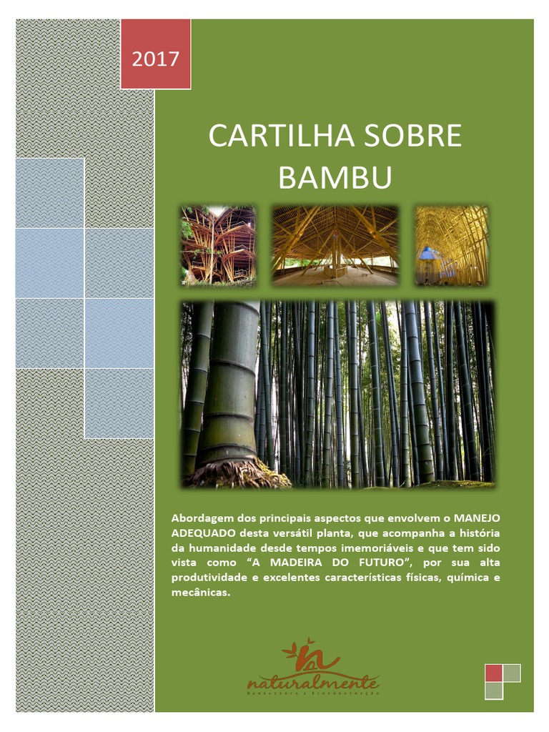 Cartilha Sobre Bambu - Espaço Naturalmente - 2017 | PDF | Solo | Natureza