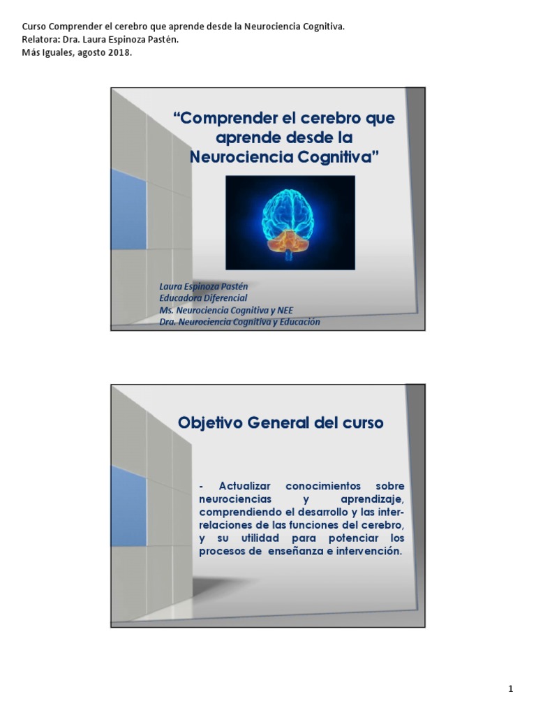 Neurociencia Cognitiva y Aprendizaje | PDF | Aprendizaje | Cerebro