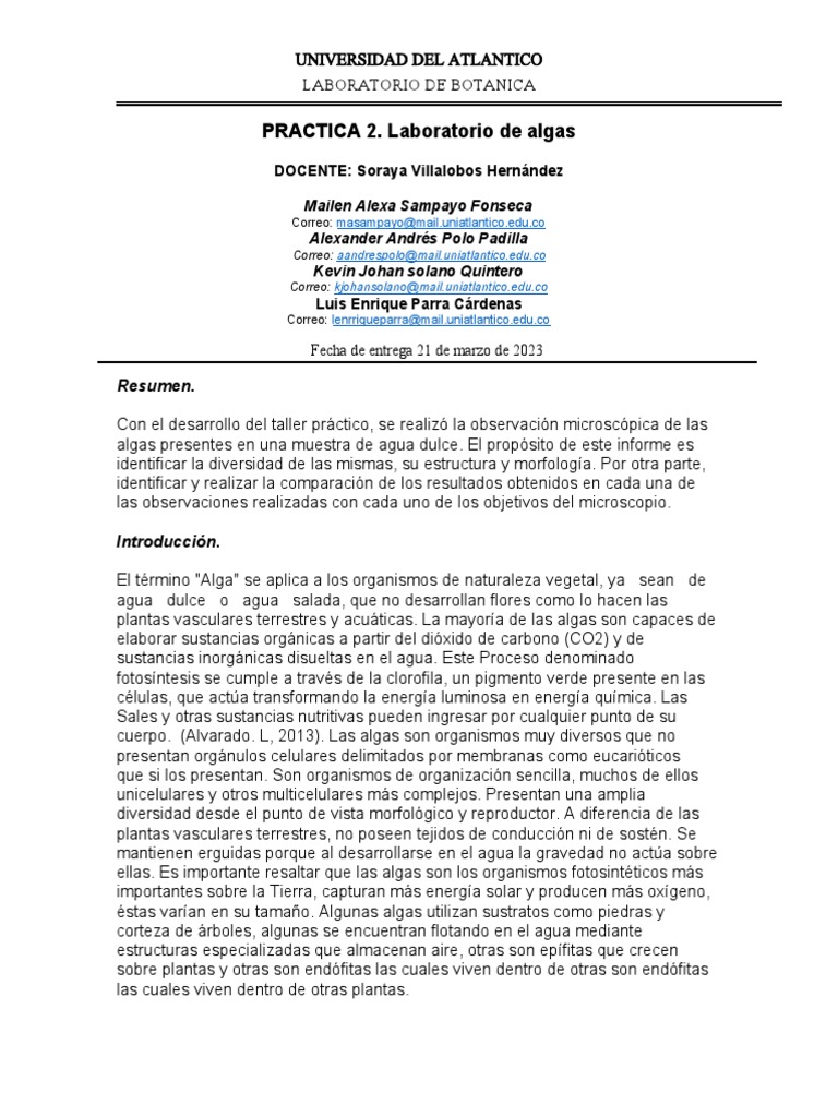 Practica 2. Algas | PDF | Plantas | Algas