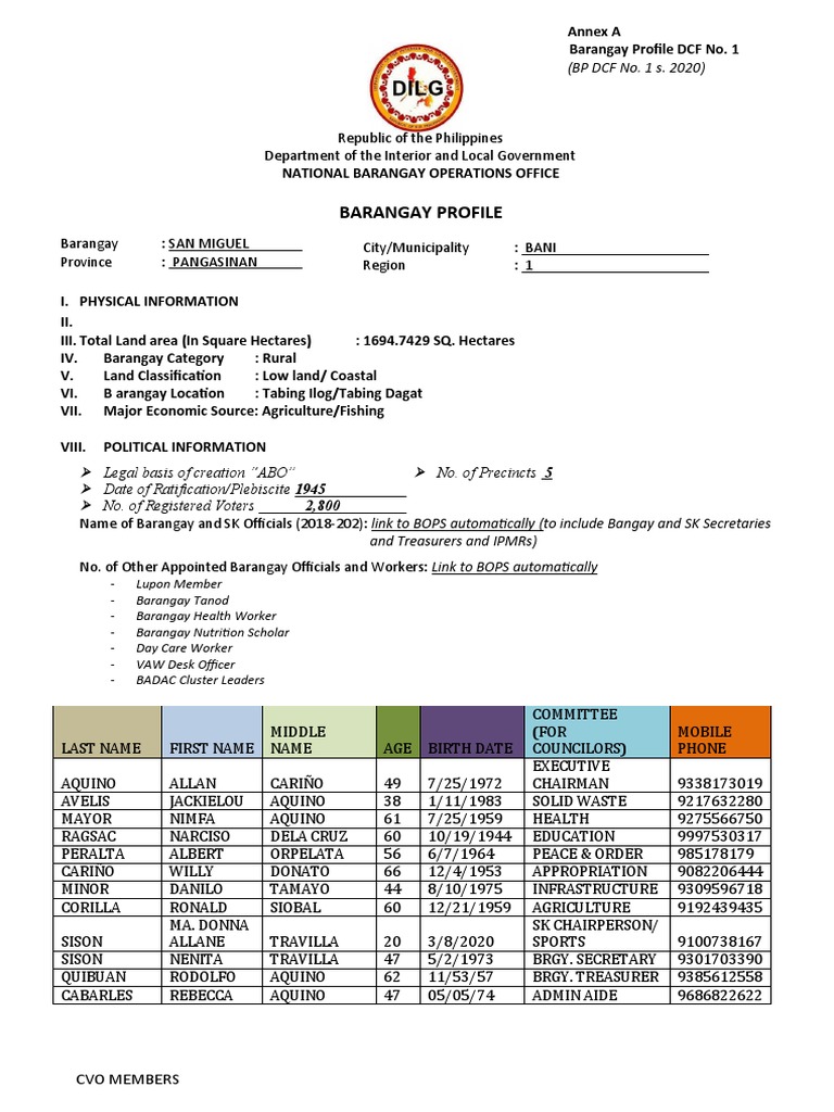 BARANGAY DATA PROFILE Annex A BP DCF No.1. 06.16.2020 | PDF
