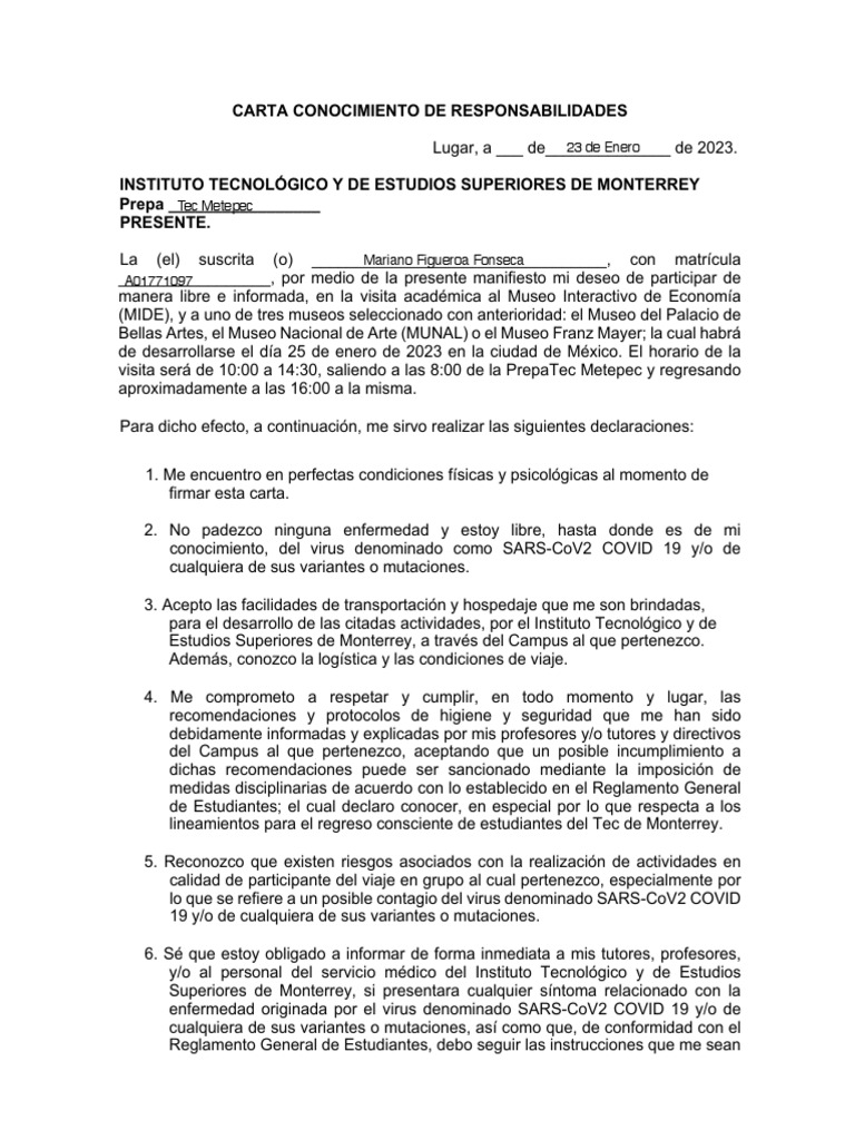 Carta Conocimiento de Responsabilidades | PDF