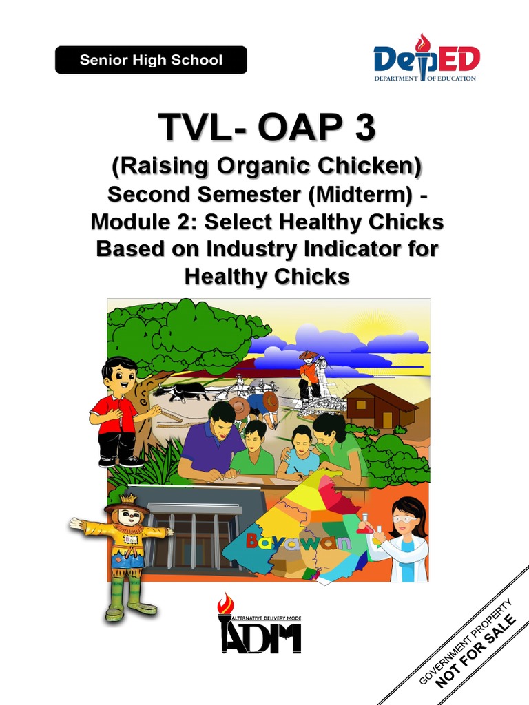 Tvl-Oap 3: (Raising Organic Chicken) | PDF | Chicken | Birds
