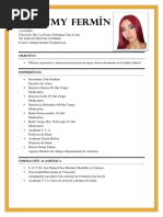Baggage Identification Chart | PDF