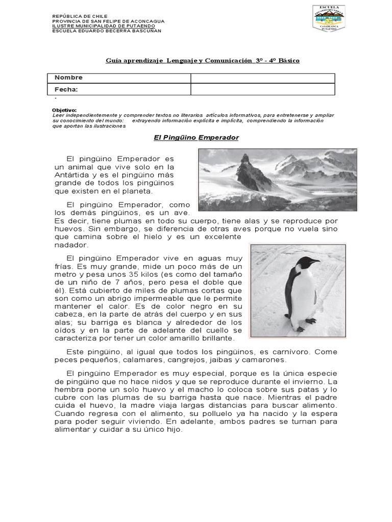 1 El Pinguino Guía 1 3 Basico | PDF | Pingüino | Aves