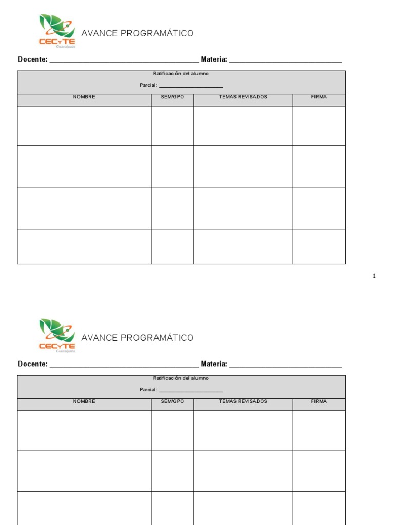 Avance Programatico | PDF