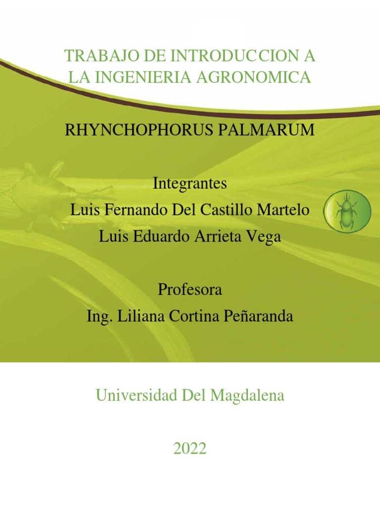 Manejo integrado de Rhynchophorus palmarum, una plaga de importancia ...