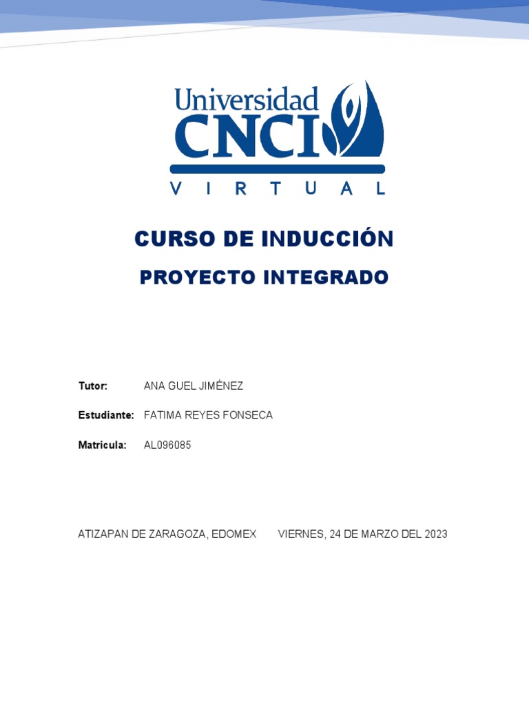Proyecto Integrador | PDF