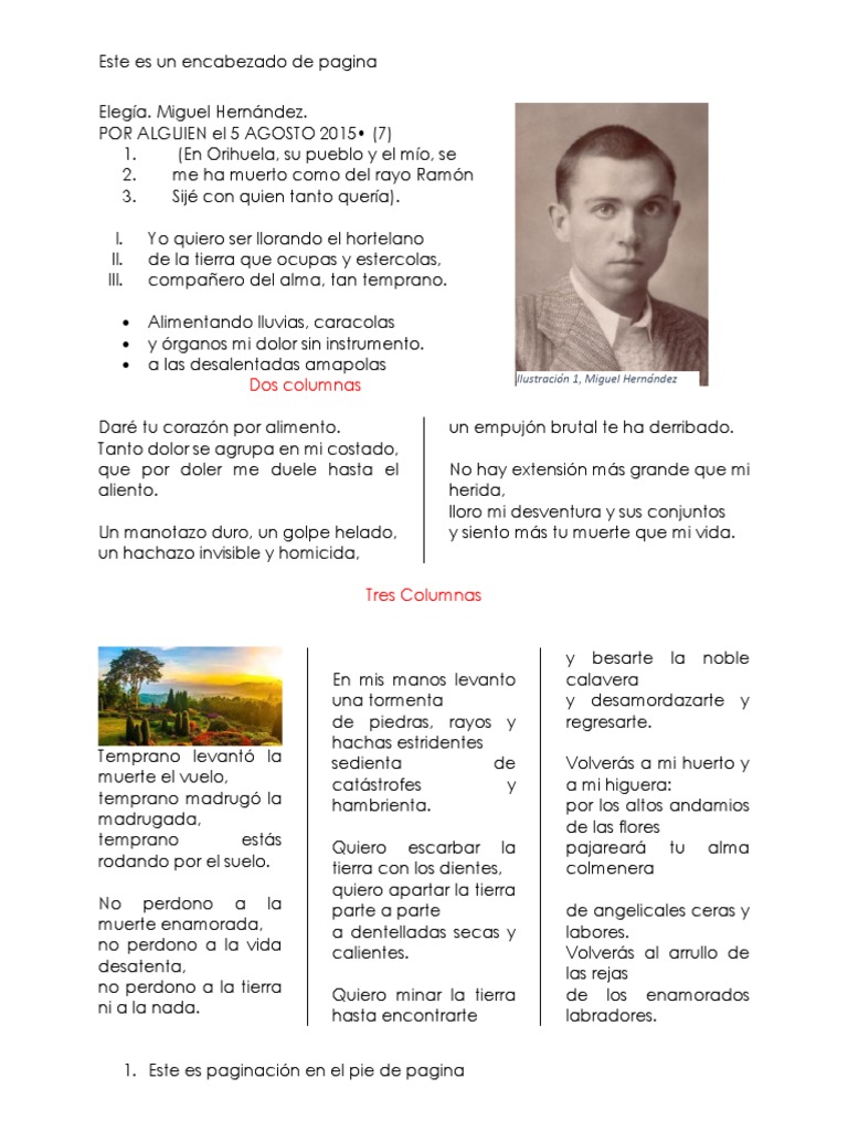 Anexo Taller Ofimatica 220501046 AA2 | PDF