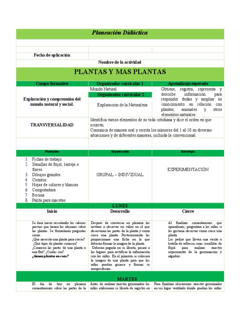 Actividades Didácticas sobre Plantas | PDF | Evaluación | Plantas