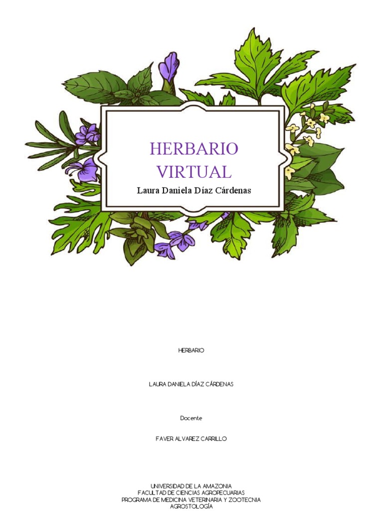 Herbarios de Plantas: Avena Elatior y Más | PDF | Hoja | Taxa