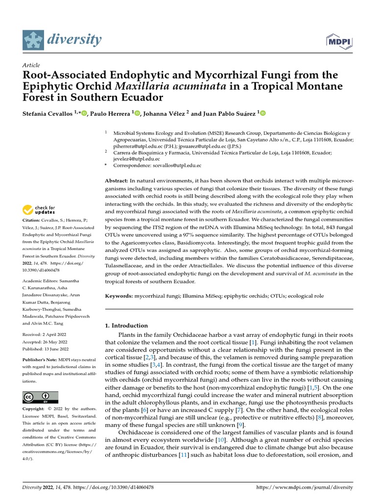 Diversity | PDF | Fungus | Biology