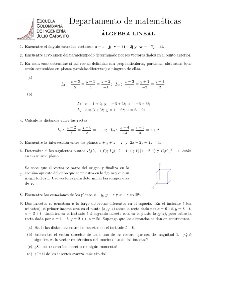 Departamento de Matem Aticas: Algebra Lineal | PDF