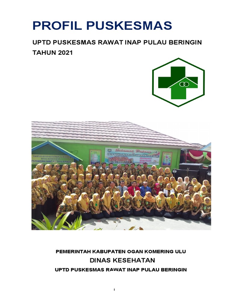 Profil Puskesmas Uptd Puskesmas Rawat Inap Pulau Beringin Tahun 2021 Pdf