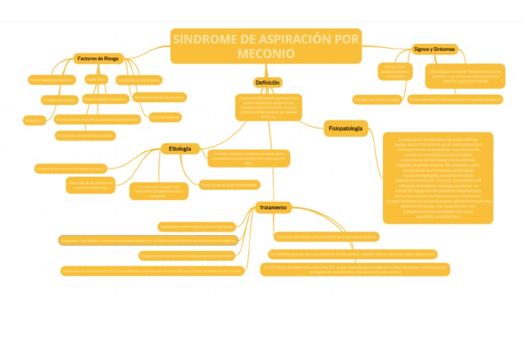 Mapa Conceptual SAM | PDF