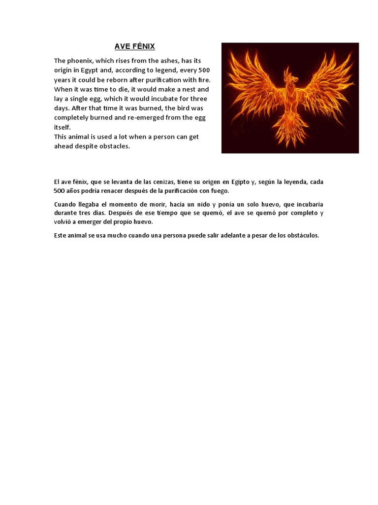 Descripcion Del Ave Fenix | PDF