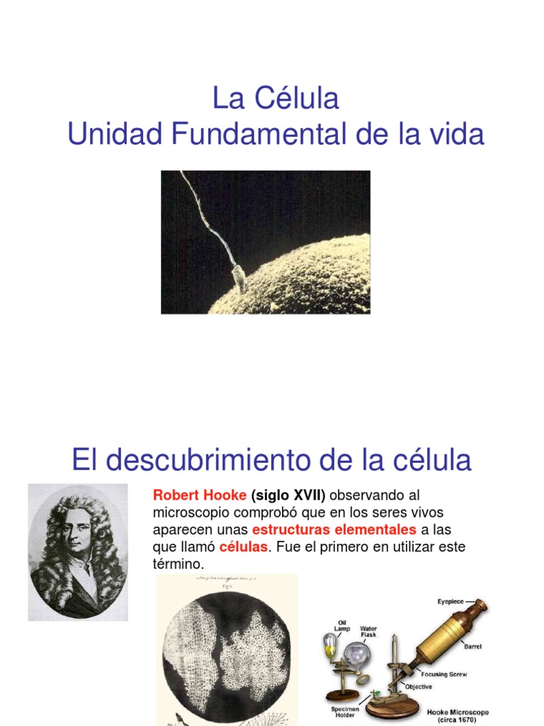 La Celula y Sus Organelos | PDF | Biología Celular) | Citoplasma