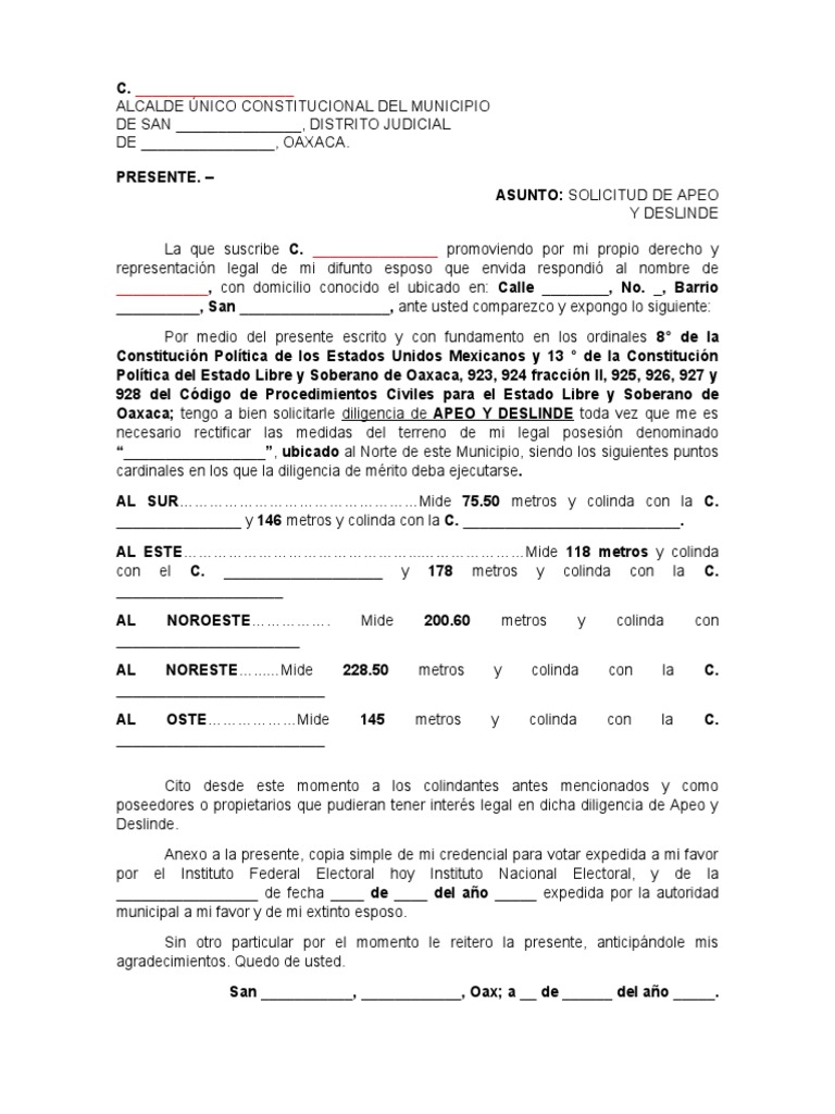 Solicitud de Apeo y Deslinde | PDF | Gobierno | Justicia