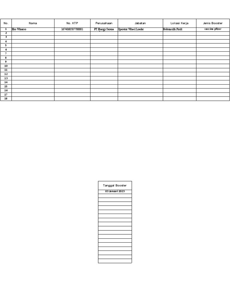 Form Booster Personil BST Demoroom Hsse z4. | PDF