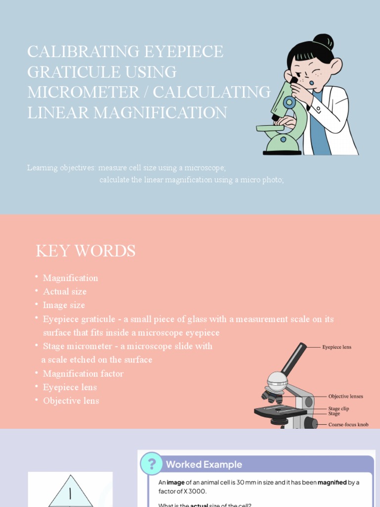 Calibrating Eyepiece Graticule Using Micrometer / Calculating Linear ...
