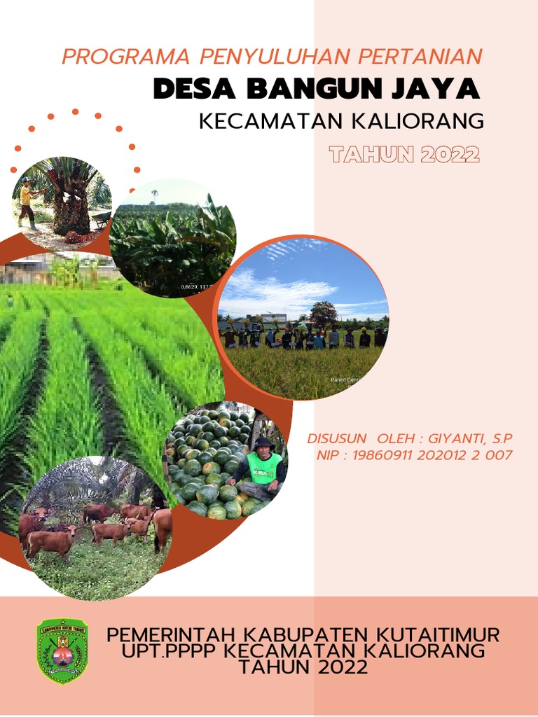 Programa Penyuluhan Cover | PDF