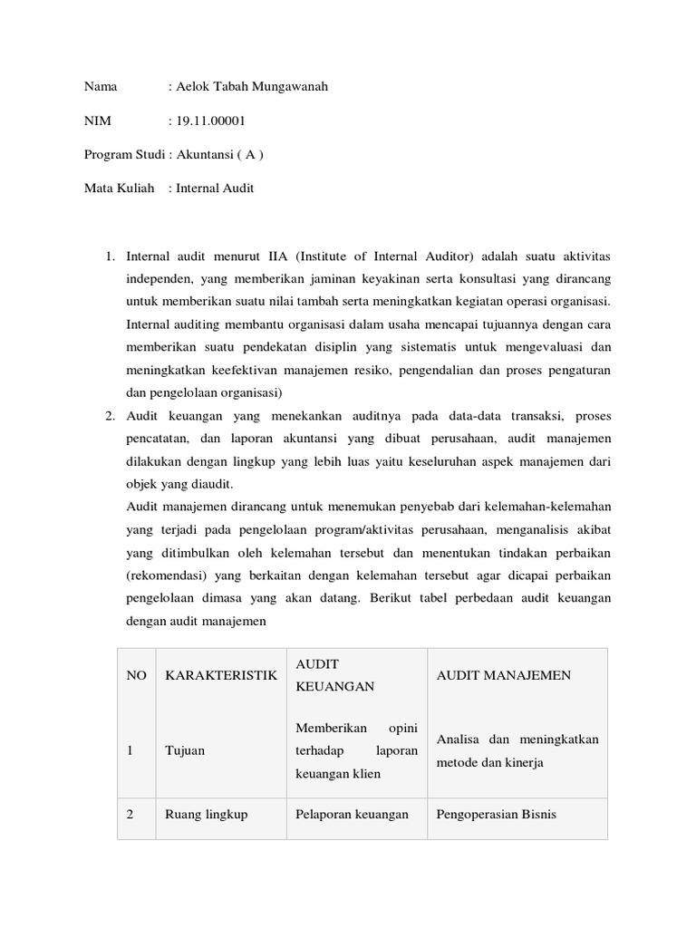 Uts Internal Audit Aelok | PDF