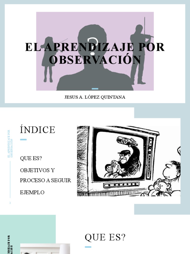 El aprendizaje por observación: definición, objetivos y proceso | PDF
