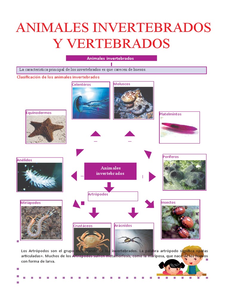 Animales Invertebrados y Vertebrados para Tercero de Primaria | PDF ...