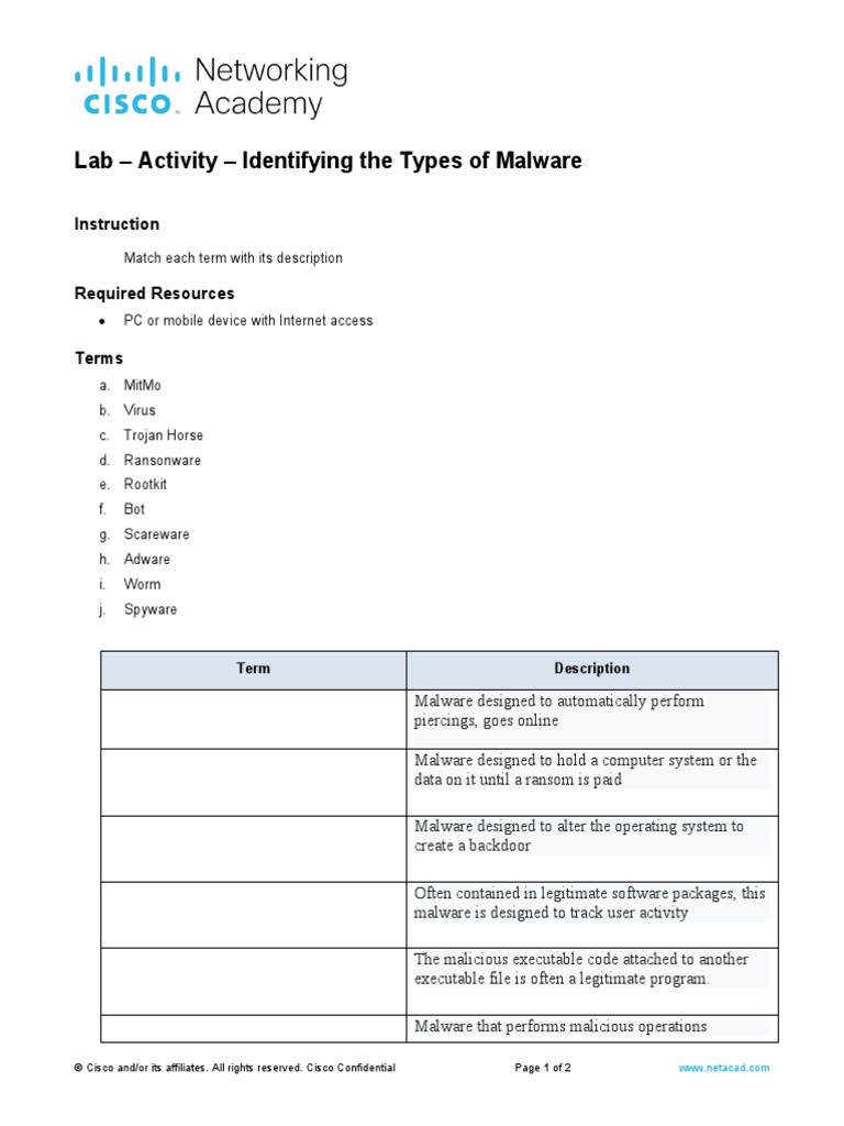 Act4 - Identifying The Type of Malware | PDF | Malware | Software Engineering