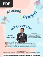 Instructivo Uso Repuce | PDF | Contraseña | Internet