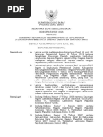 TPP PNS Pemprov Jabar 2025 | PDF