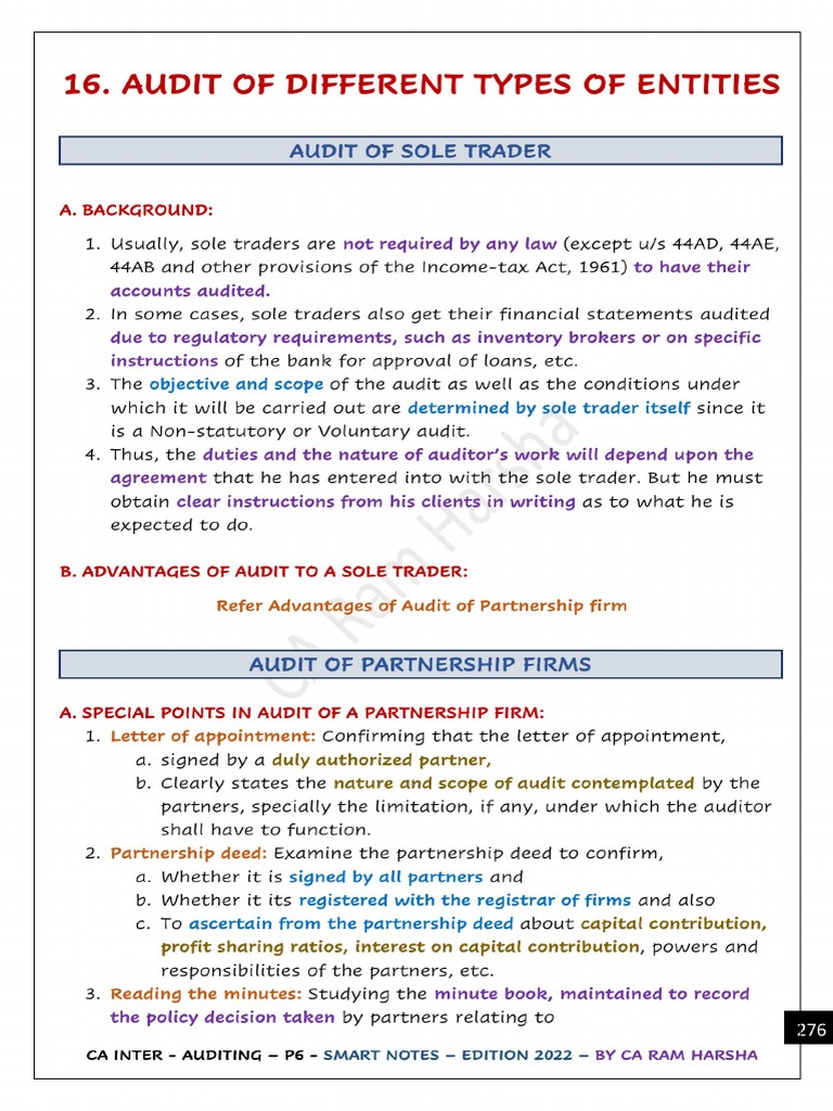 Audit of Different Types of Entities PDF | PDF