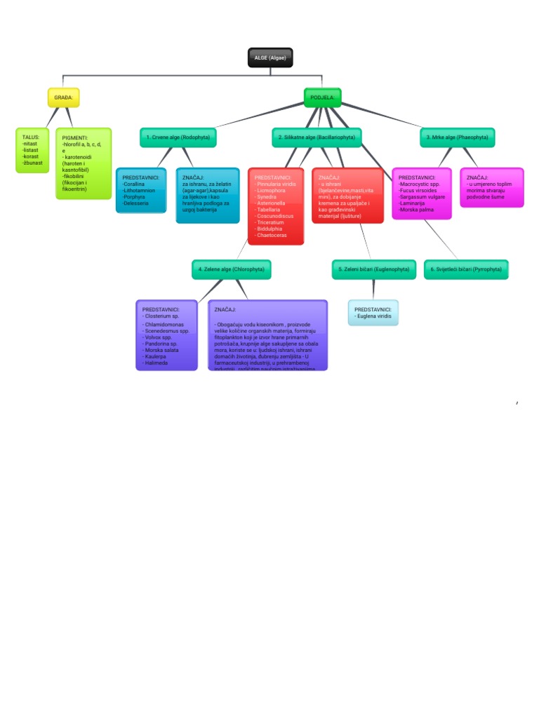 ALGE (Algae) - Mentalna Mapa | PDF
