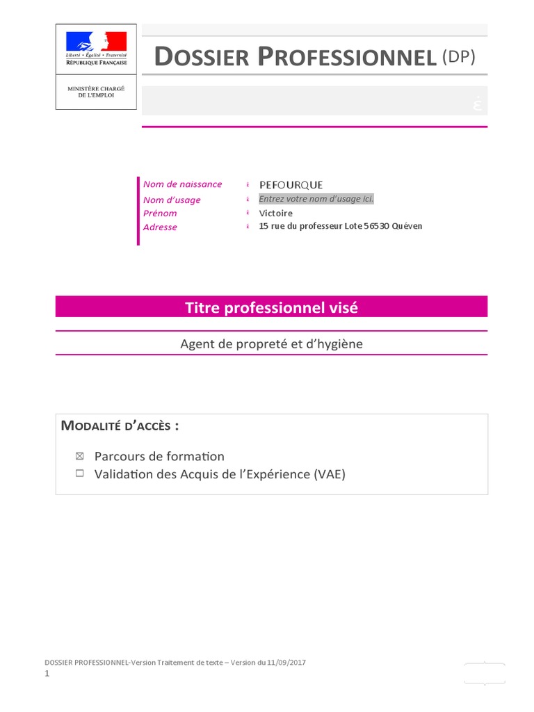 Dossier Professionnel Agent Propreté | PDF