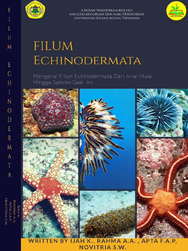 Filum Echinodermata | PDF