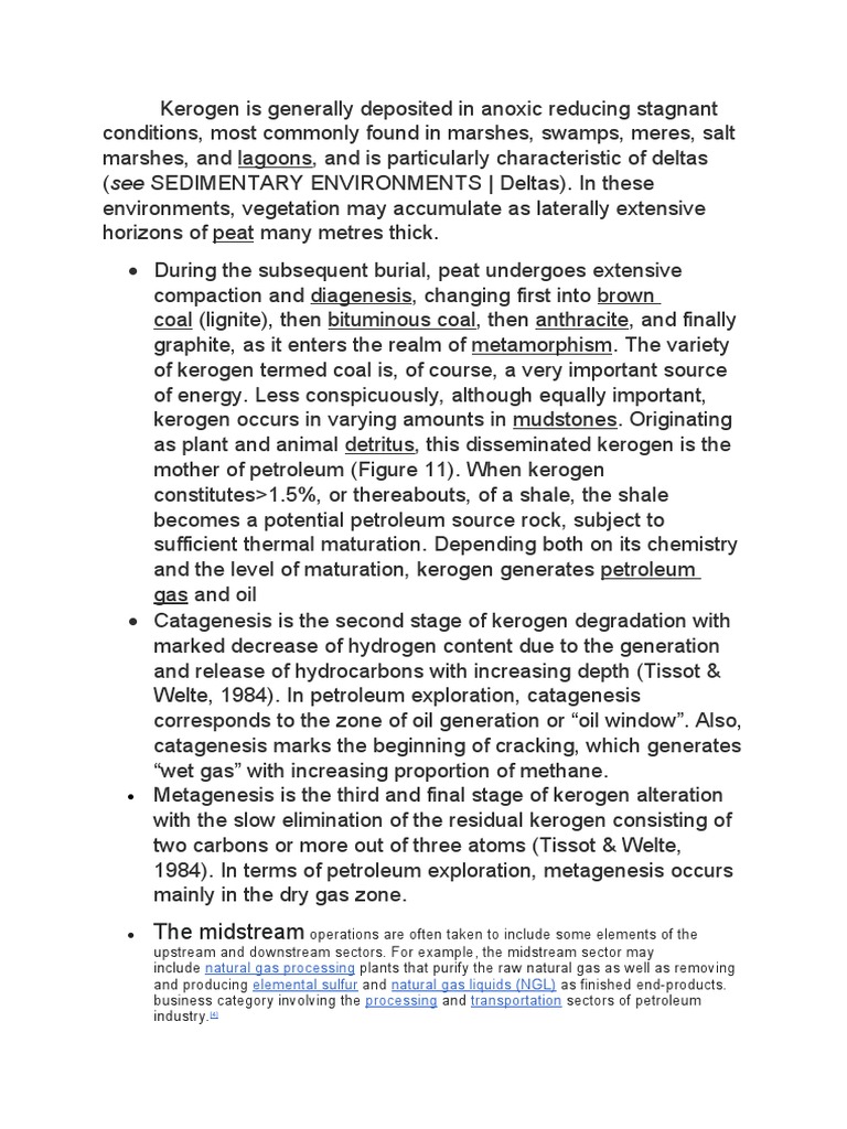 Understanding Kerogen and Seismic Surveys | PDF | Petroleum Reservoir ...