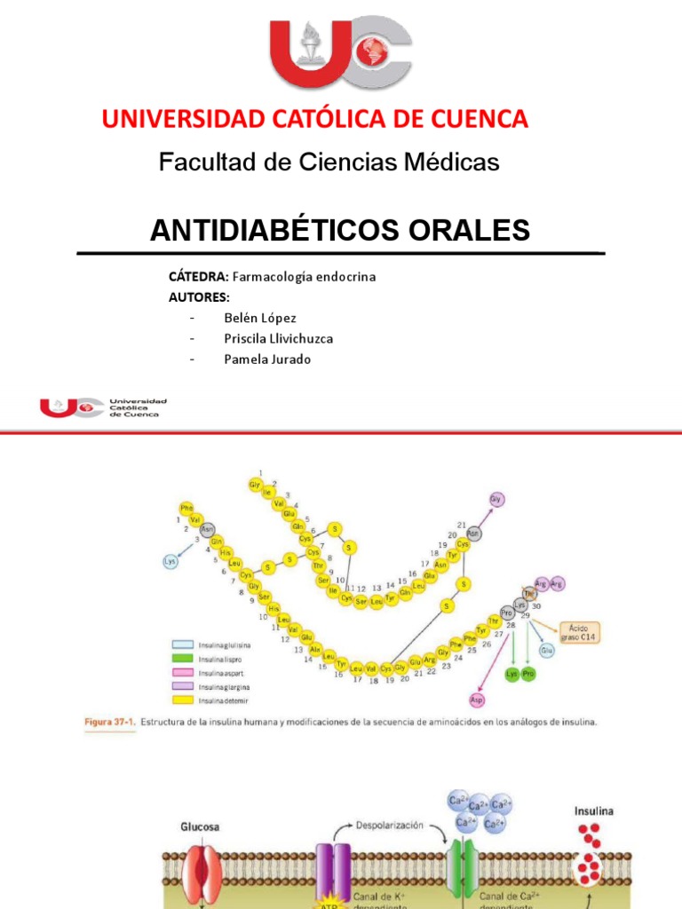 Antidiabéticos Orales: Clasificación y Usos | PDF | Diabetes | Hipoglucemia