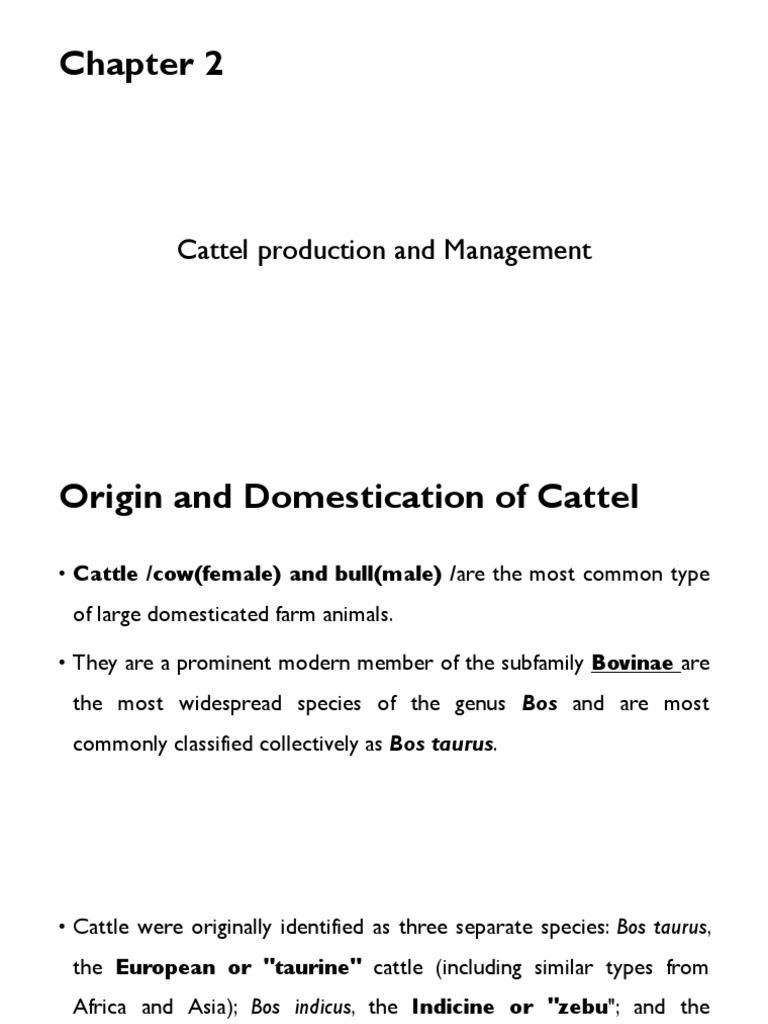 C-2 Cattel Production and Management | PDF | Cattle | Domesticated Animals